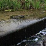 Tide Pools of Little Corona Del Mar - California Through My Lens