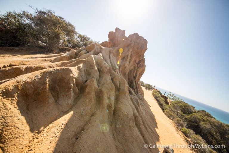 Torrey Pines State Reserve: Hiking Razor Point, Yucca Point & the Beach ...