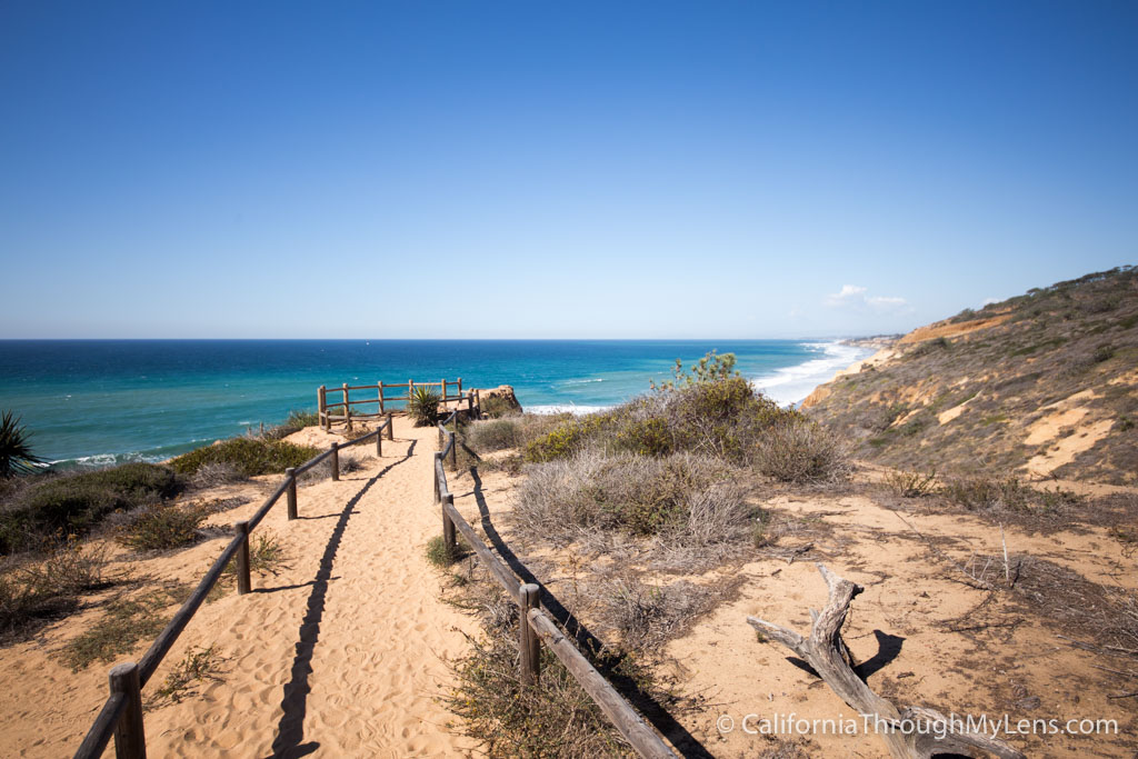 Torrey Pines State Reserve: Hiking Razor Point, Yucca Point & the Beach ...
