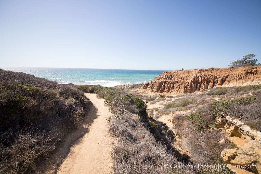 Torrey Pines State Reserve: Hiking Razor Point, Yucca Point & the Beach ...