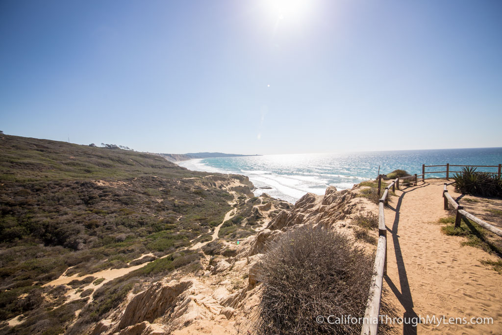 Torrey Pines State Reserve: Hiking Razor Point, Yucca Point & the Beach ...