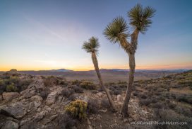 Ryan Mountain Hike: Second Highest Point in Joshua Tree National Park ...