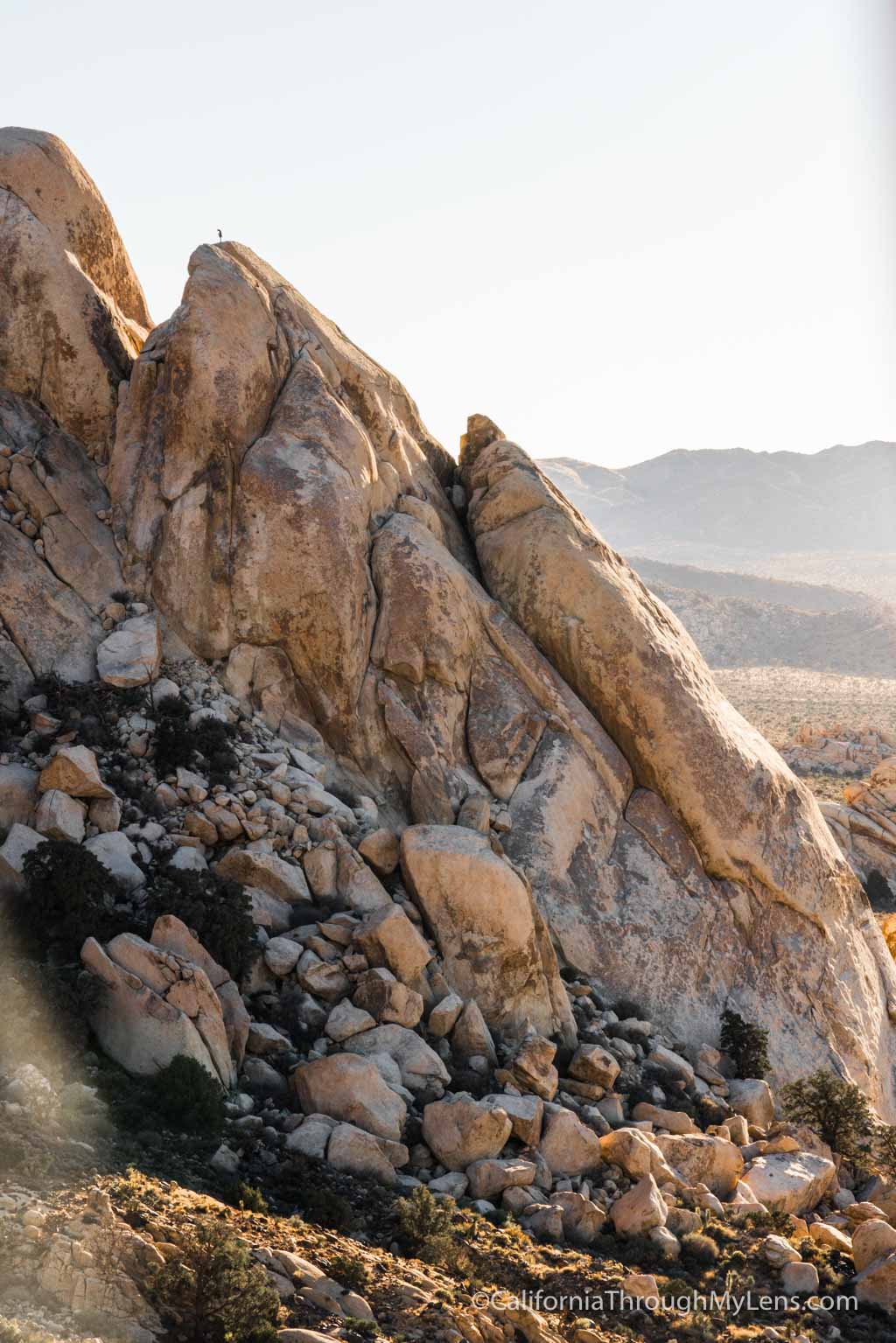 Ryan Mountain Hike: Second Highest Point in Joshua Tree National Park ...