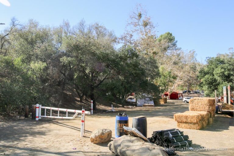 Old LA Zoo in Griffith Park: An Abandoned Zoo - California Through My Lens