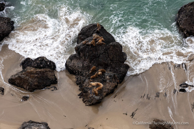 Point Dume State Beach: The Beautiful Coast of Malibu - California ...