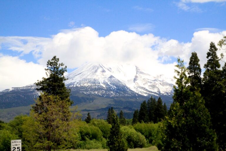 Weed, California: 3,000 People and a Gift Shop - California Through My Lens