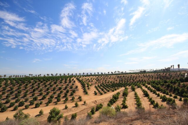 Touring the Mission Inn's Historic Catacombs - California Through My Lens