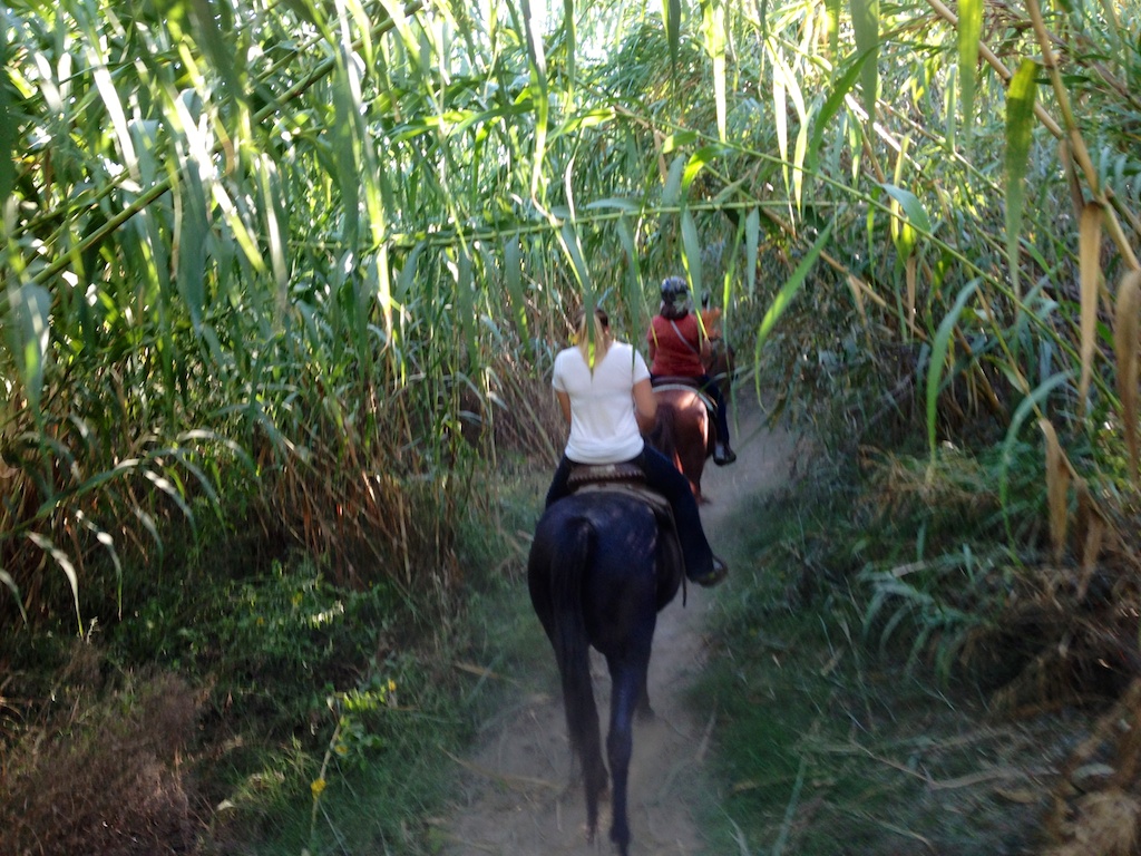 Horseback Riding in the Inland Empire with Western Trails - California ...