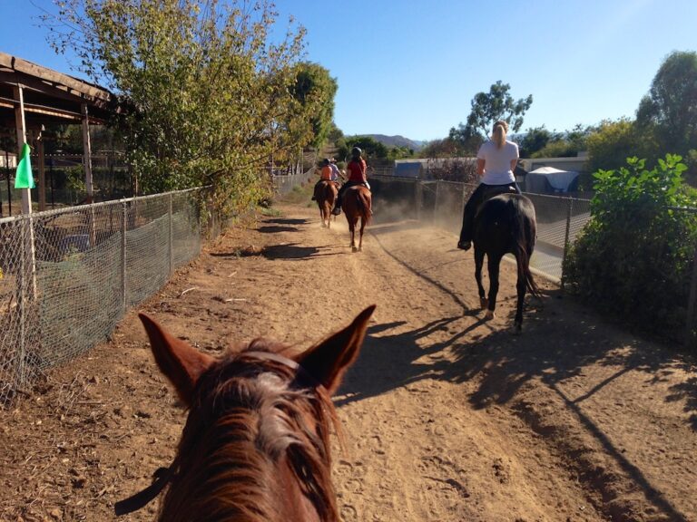 Horseback Riding in the Inland Empire with Western Trails - California ...