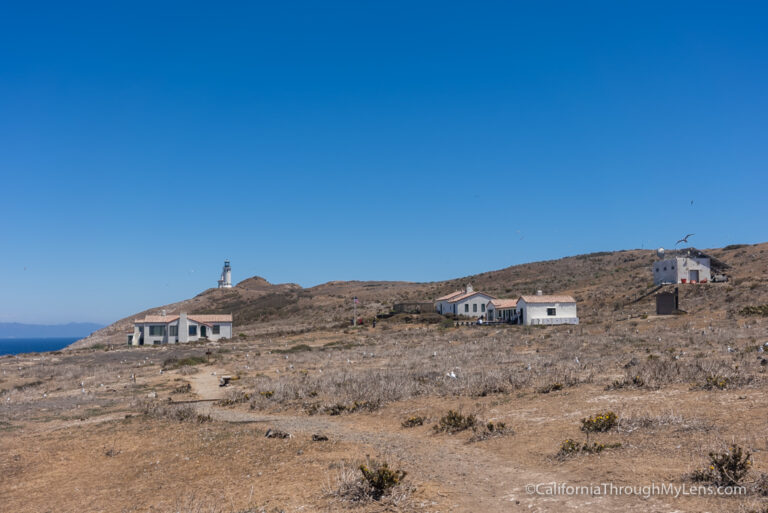 Anacapa Island Day Trip Guide: Channel Islands National Park ...