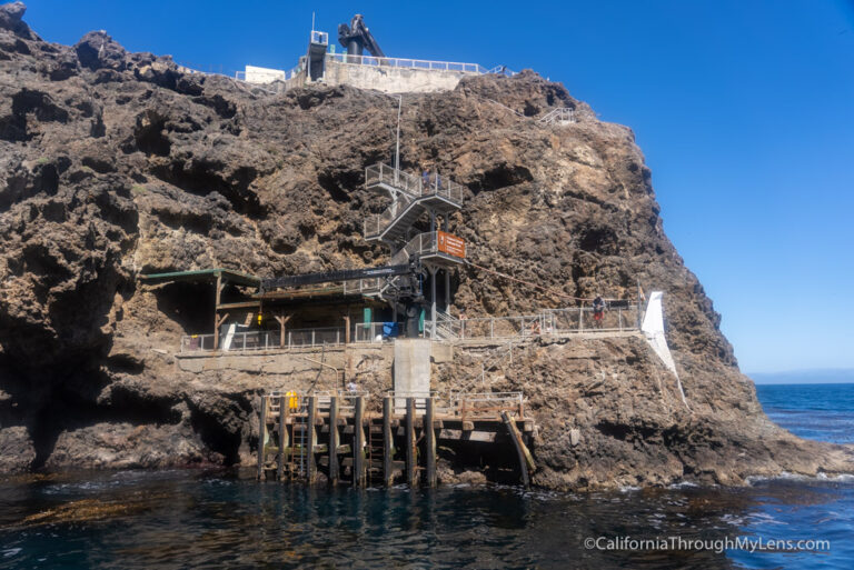 Anacapa Island Day Trip Guide: Channel Islands National Park ...