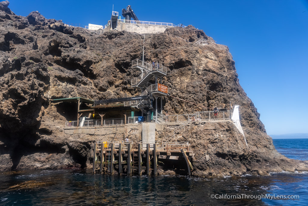 Anacapa Island Day Trip Guide: Channel Islands National Park ...