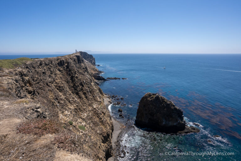 Anacapa Island Day Trip Guide: Channel Islands National Park ...