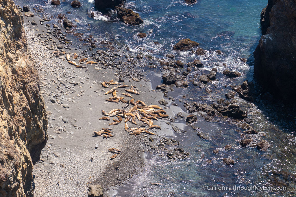Anacapa Island Day Trip Guide: Channel Islands National Park ...