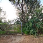 Murphy's Ranch: Abandoned Nazi Camp in Santa Monica | California ...