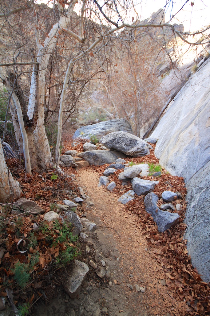 Tahquitz Canyon Falls: Palm Springs 50ft Waterfall - California Through ...