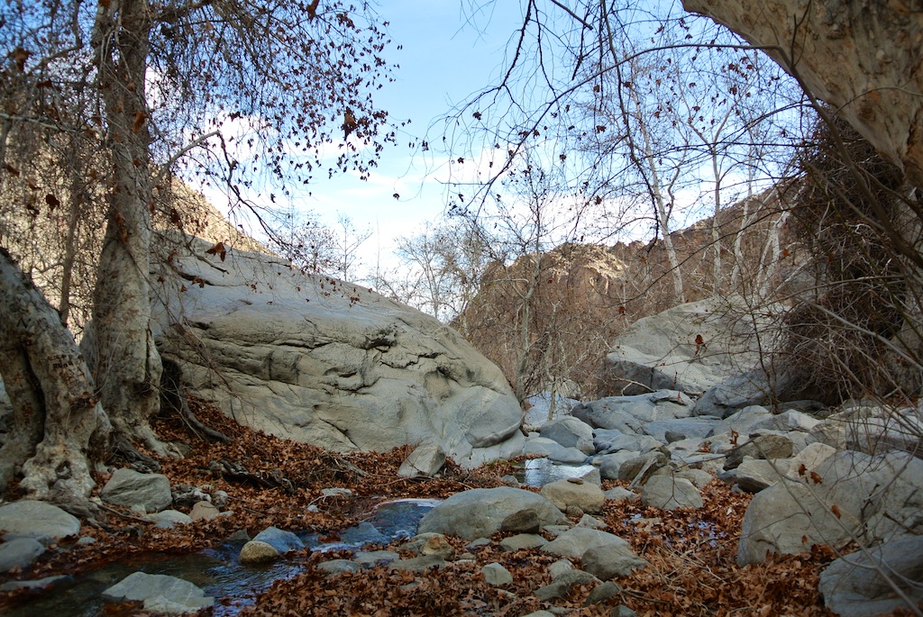Tahquitz Canyon Falls: Palm Springs 50ft Waterfall - California Through ...