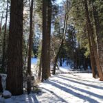 Mirror Lake in Yosemite: Winter and Summer | California Through My Lens
