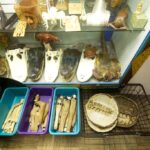 Wacko Soap Plant: The Los Angeles Shop For Strange Things | California ...