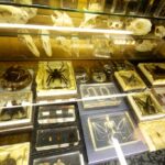 Wacko Soap Plant: The Los Angeles Shop For Strange Things | California ...