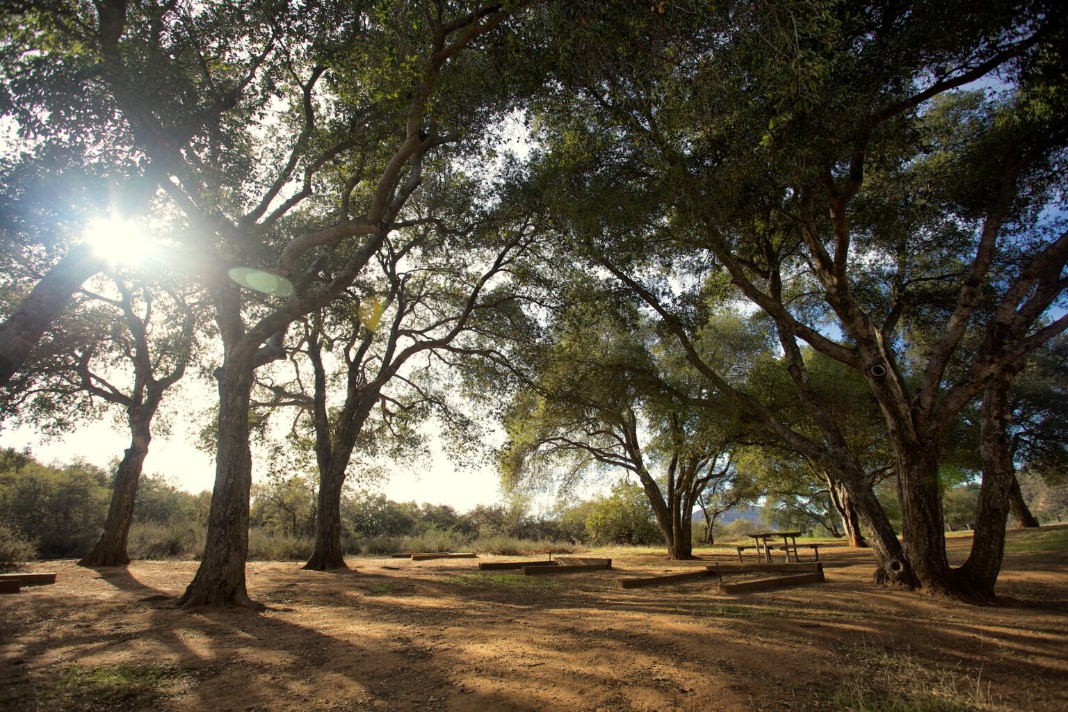 Olvera St: What to do in El Pueblo de Los Angeles Historic Monument ...