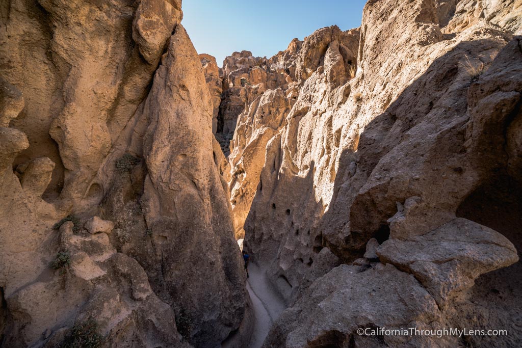 The Rings Trail in Mojave National Preserve - California Through My Lens