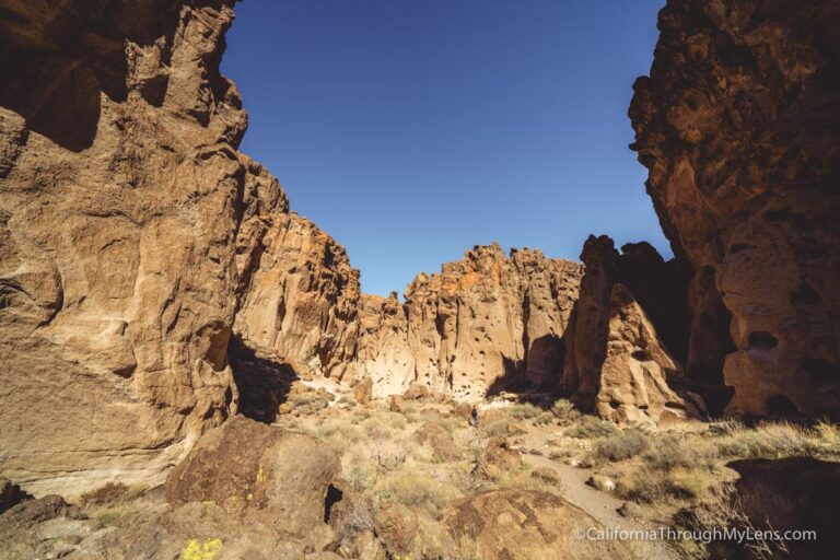 The Rings Trail in Mojave National Preserve - California Through My Lens