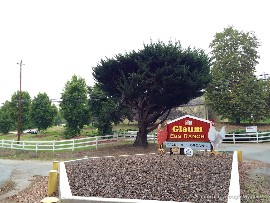 Glaum Egg Ranch: Home of the Egg Vending Machine - California Through ...