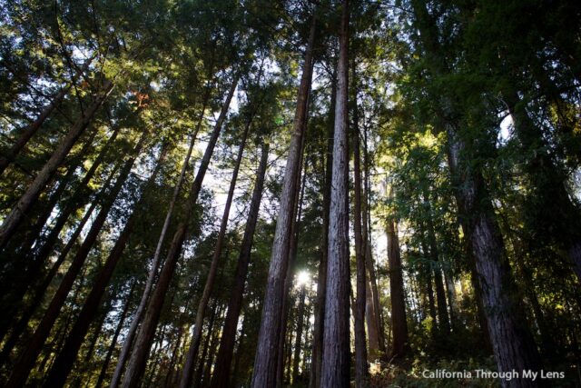 Five Parks to Visit in Santa Cruz and the Best Hike in Each ...