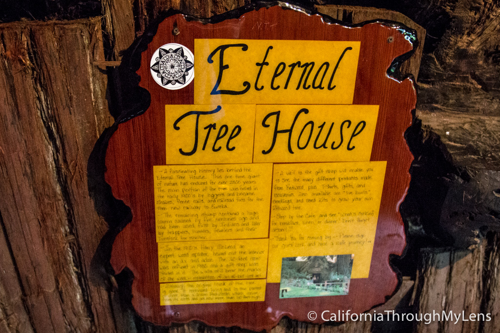 Eternal Treehouse: Fun Roadside Stop for Kids in Avenue of the Giants ...