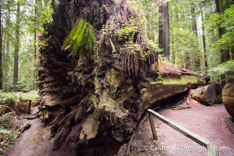 California's 35 Must See Natural Wonders - California Through My Lens