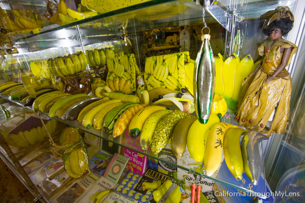International Banana Museum: Salton Sea's Wacky Museum (Closed ...
