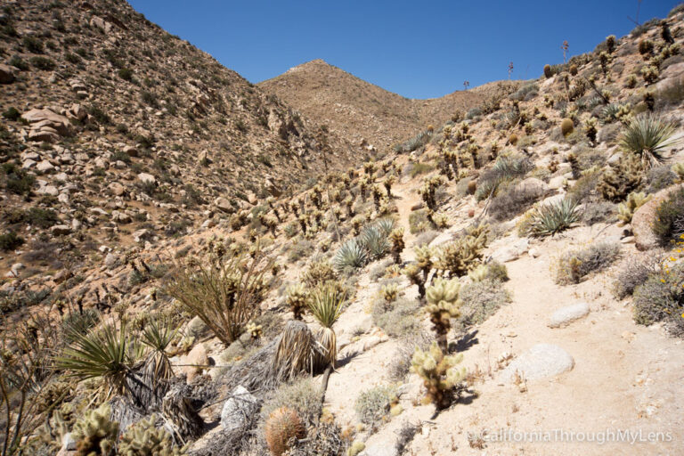 Goat Canyon Trestle Bridge Hike: Worlds Largest Wooden Trestle ...