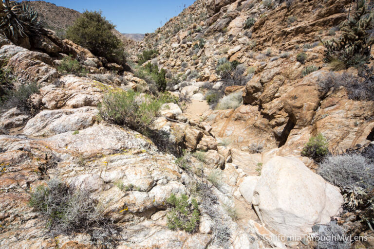 Goat Canyon Trestle Bridge Hike: Worlds Largest Wooden Trestle ...