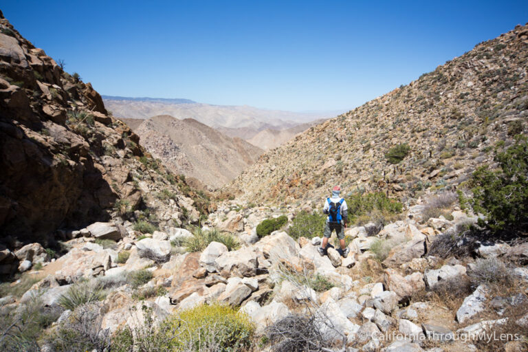 Goat Canyon Trestle Bridge Hike: Worlds Largest Wooden Trestle ...
