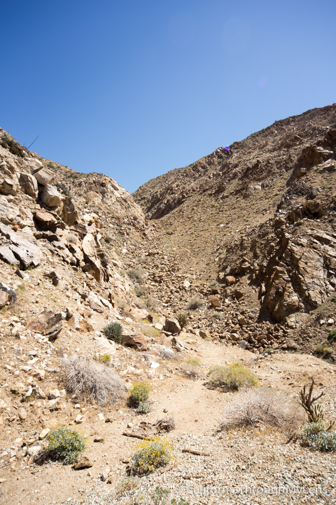 Goat Canyon Trestle Bridge Hike: Worlds Largest Wooden Trestle ...