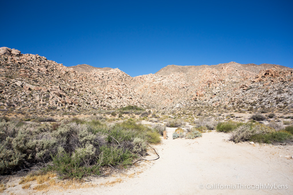 Goat Canyon Trestle Bridge Hike: Worlds Largest Wooden Trestle ...