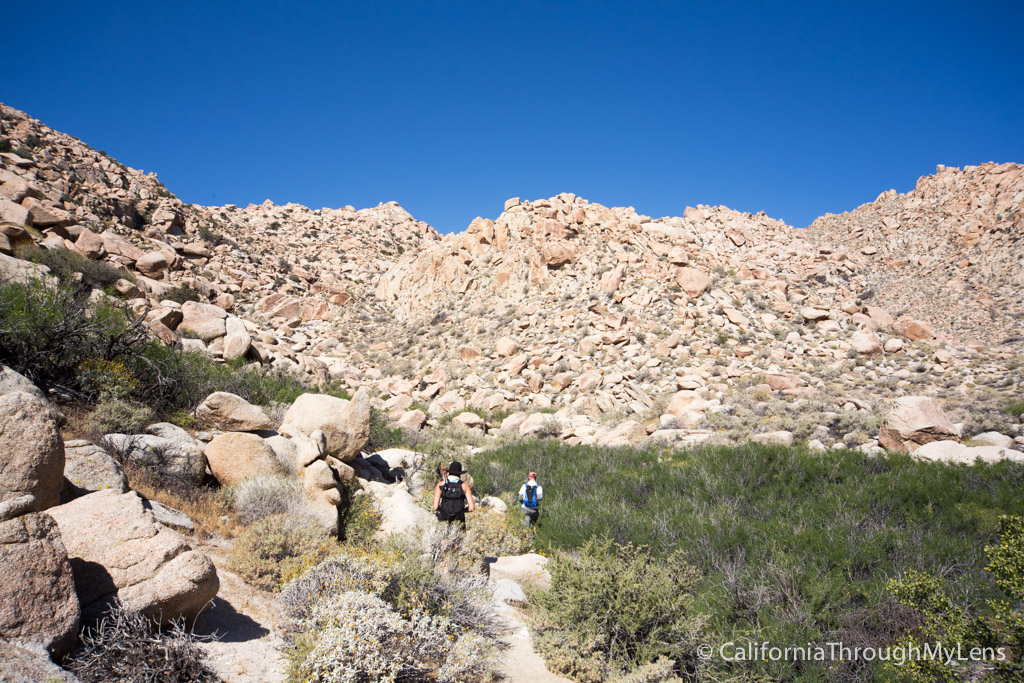 Goat Canyon Trestle Bridge Hike: Worlds Largest Wooden Trestle ...