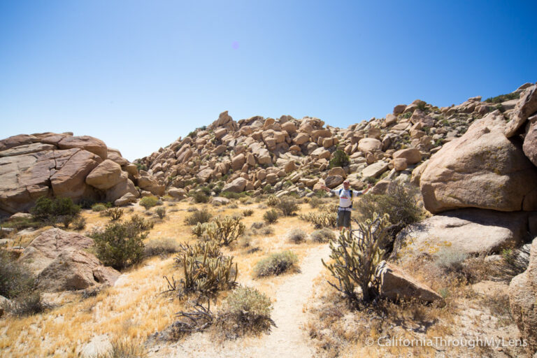 Goat Canyon Trestle Bridge Hike: Worlds Largest Wooden Trestle ...
