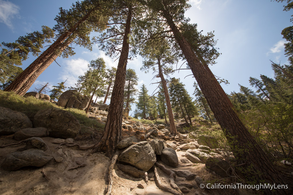 Castle Rock Hike: Big Bear's Best Vantage Point - California Through My ...