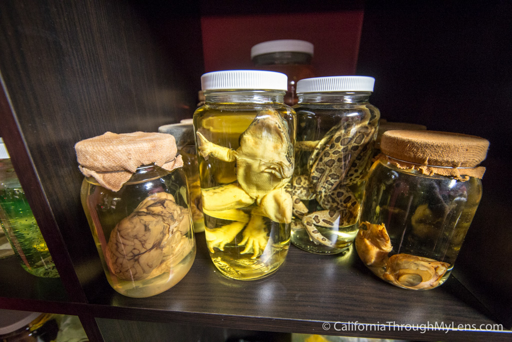 Dapper Cadaver: Hollywood's Favorite Horror Movie Prop Store ...