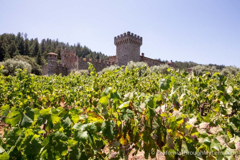 Castello di Amorosa: The Castle Winery of Napa Valley - California ...