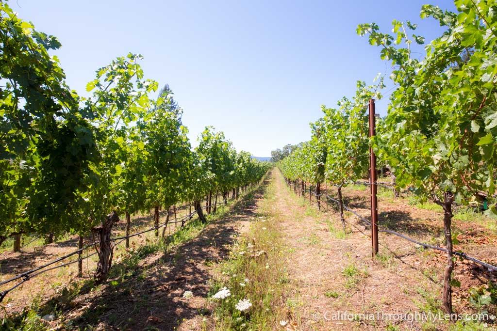 Jericho Canyon Vineyard: Caves and Wine at a Calistoga Winery ...