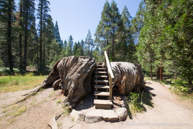 Big Trees Transit Shuttle to Kings Canyon and What to Do When There ...