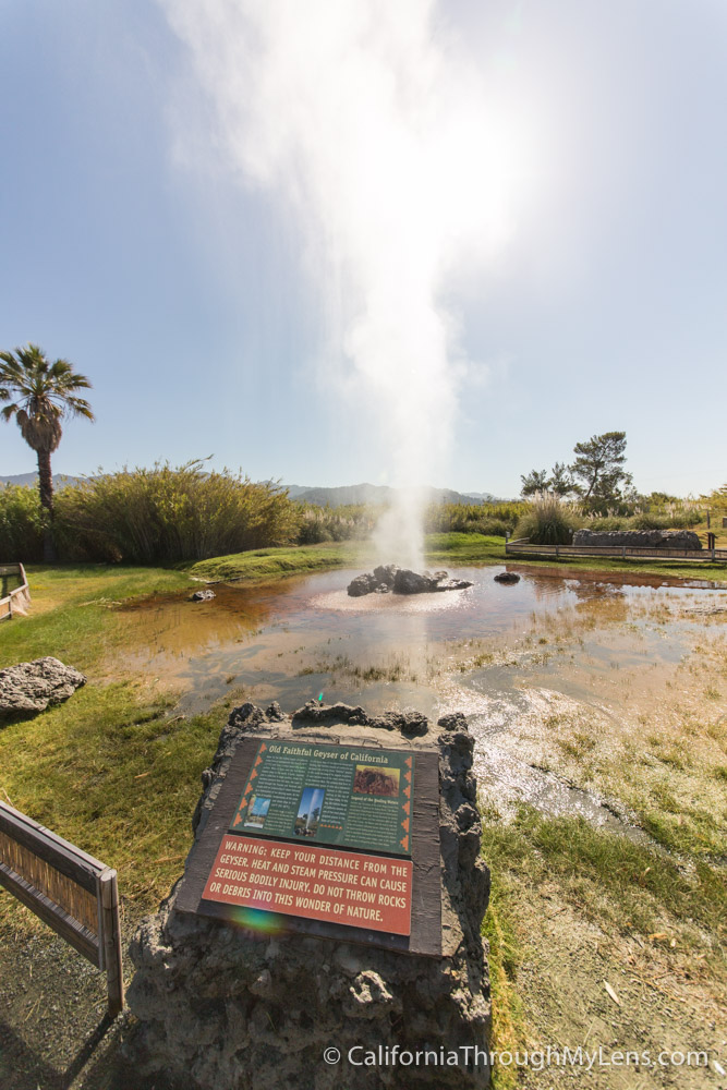 Old Faithful Geyser of California: A Unique Attraction in Calistoga ...
