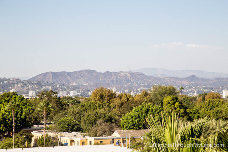 LACMA: What to See at Los Angeles Best Museum - California Through My Lens