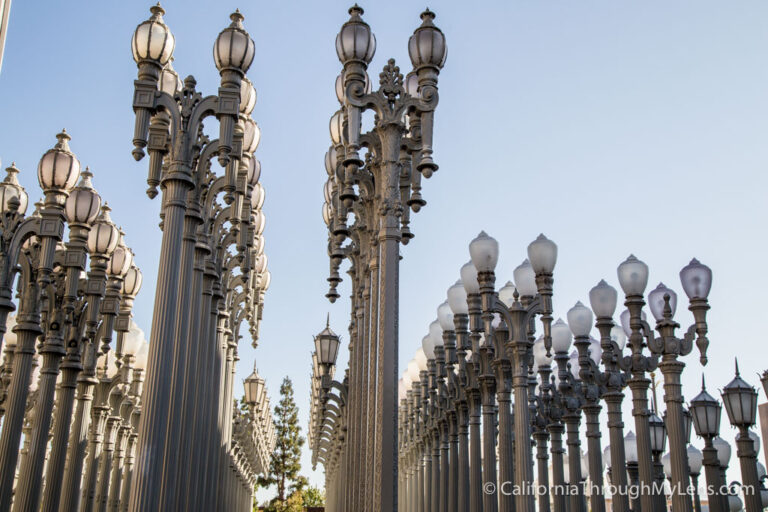 LACMA: What to See at Los Angeles Best Museum - California Through My Lens