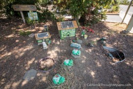 Toads Hollow: A Tunnel Underpass for Toads in Davis - California ...