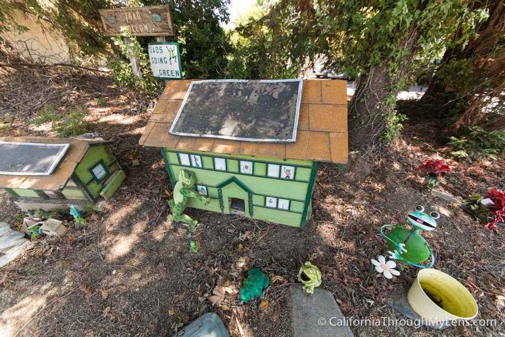 Toads Hollow: A Tunnel Underpass for Toads in Davis - California ...