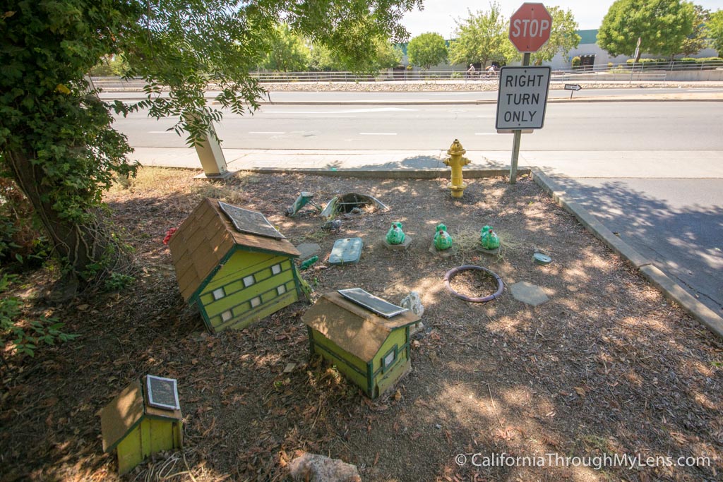 Toads Hollow: A Tunnel Underpass for Toads in Davis - California ...
